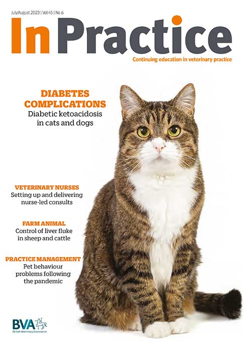 Wiley Edition Filter for BVA Online 3D eBooks