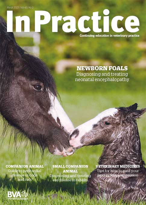 Wiley Edition Filter for BVA Online 3D eBooks