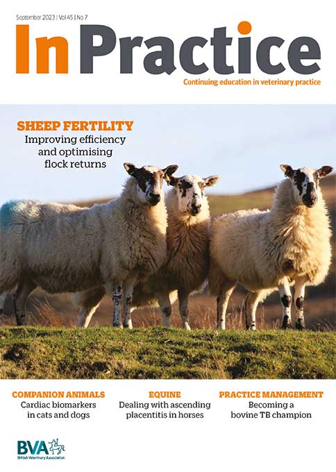 Wiley Edition Filter for BVA Online 3D eBooks